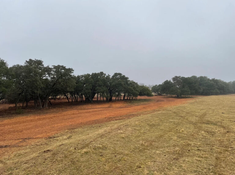 How Professional Land Clearing With Lone Star Land Services Can Raise ...